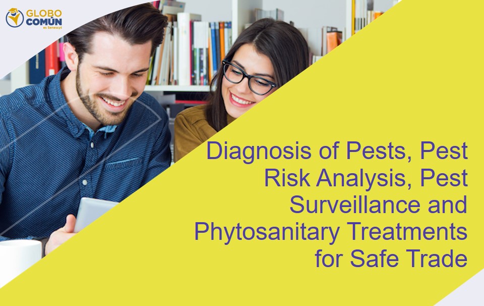 Diagnosis of Pests, Pest Risk Analysis, Pest Surveillance and ...